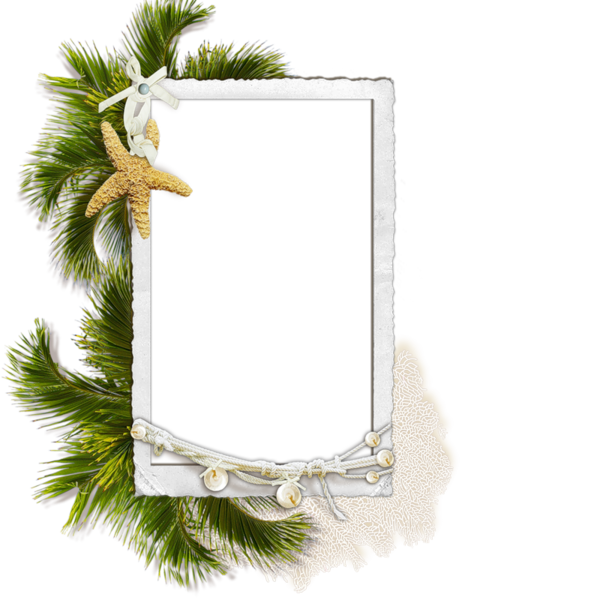 frames,cadres,tubes,png