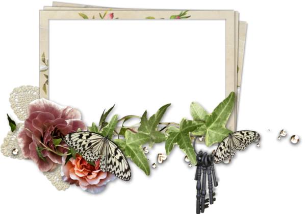 frames,cadres,tubes,png