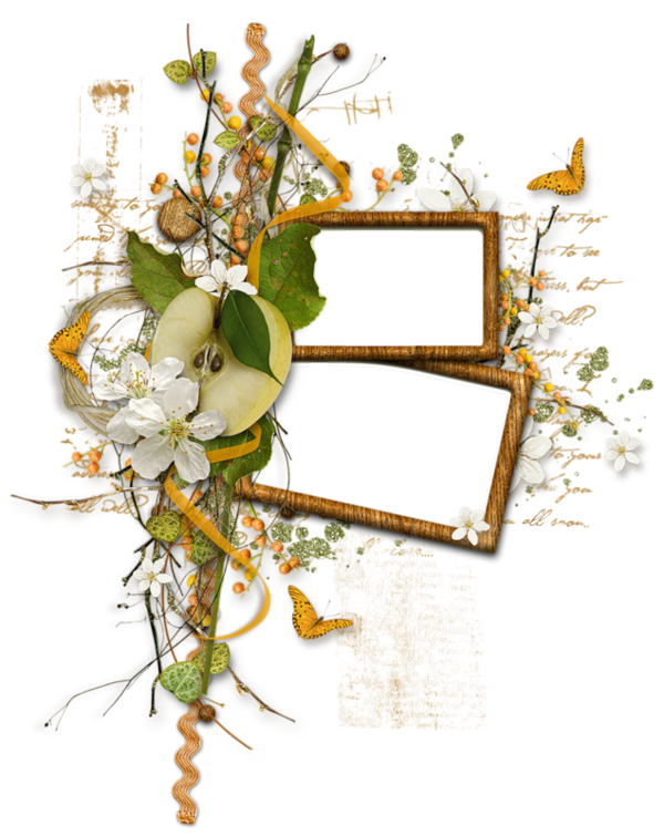 frames,cadres,tubes,png