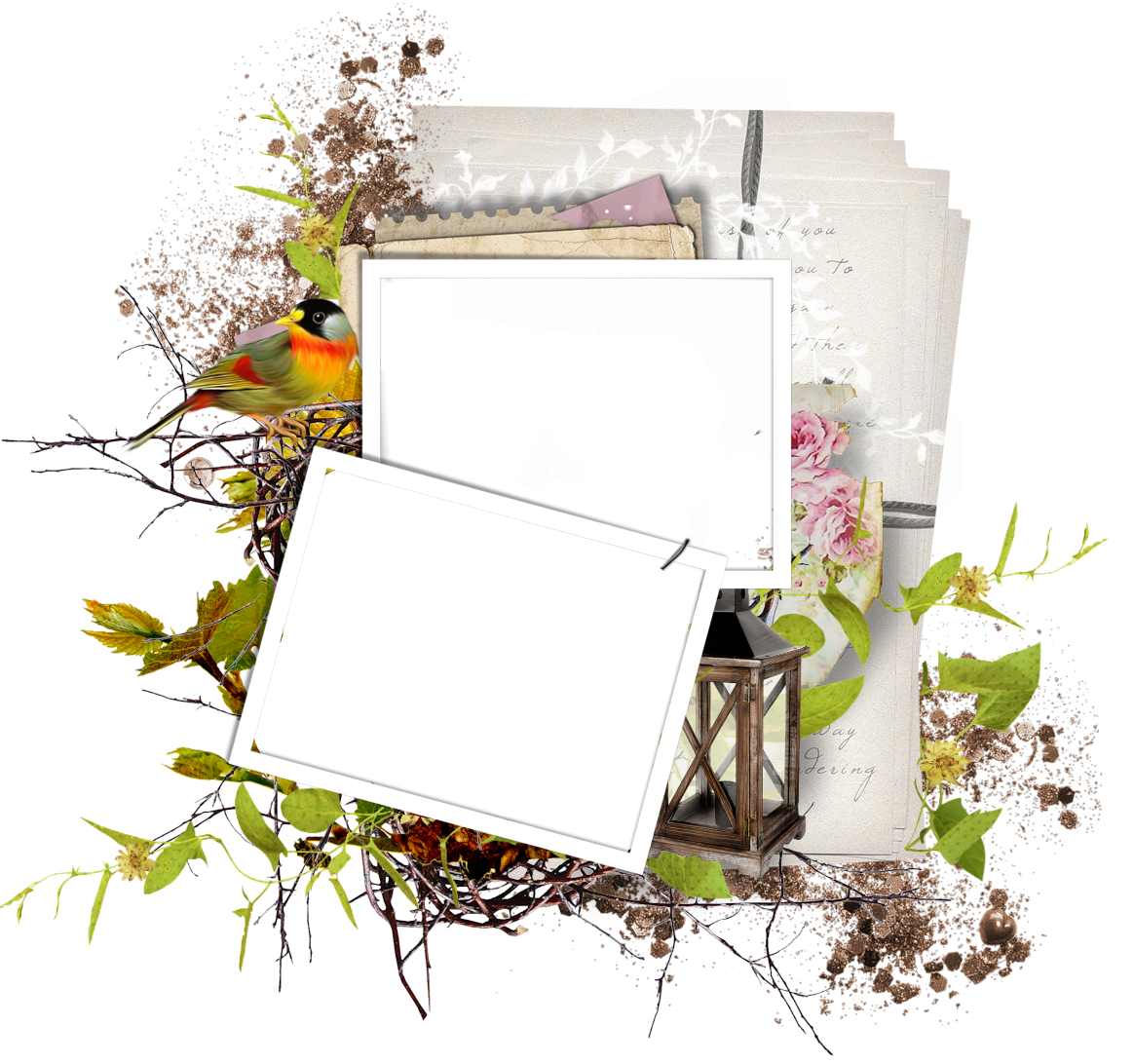 cadres et bordures - Page 980