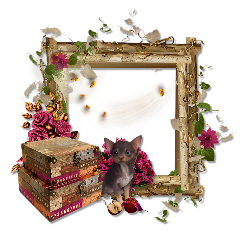 tubes cadres,png cadres,frame,png,clipart,vector,psp