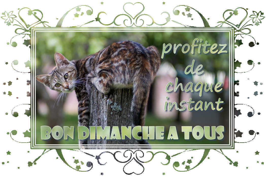 dimanche