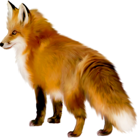 tubes animaux,clipart,vector,png animaux,psp